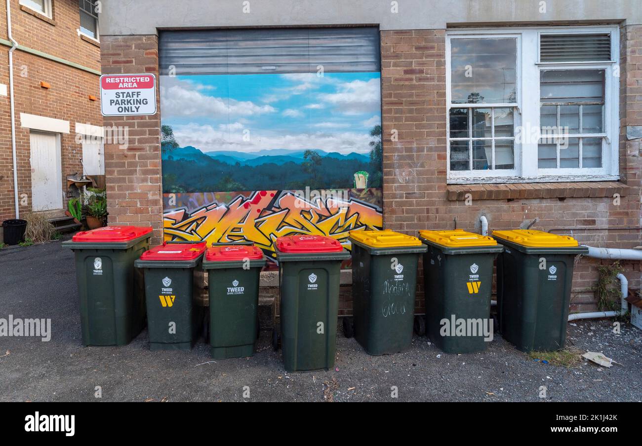 Painting of The Tweed Valley on a garage door with garbage bins in ...