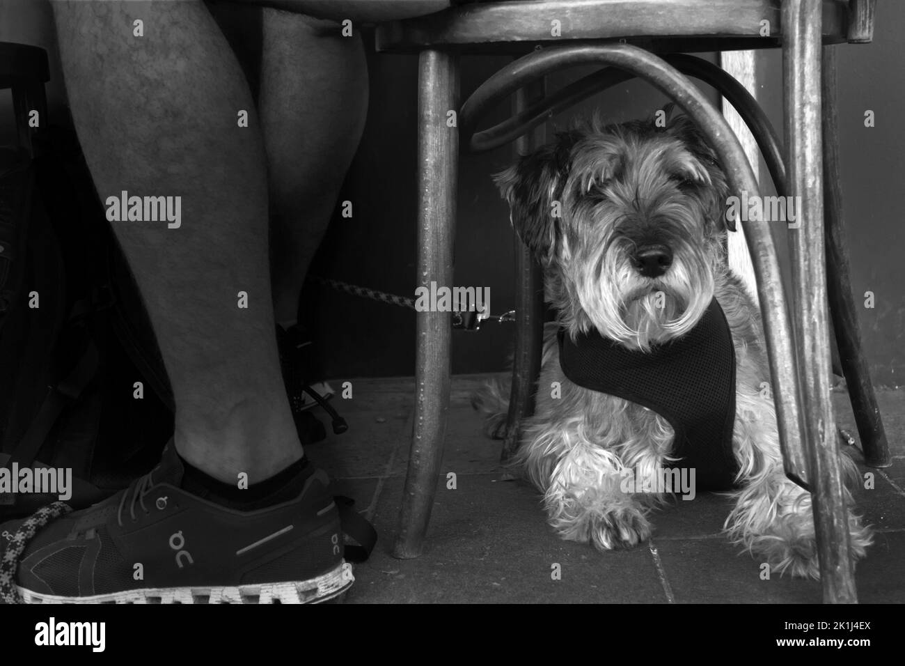 Unrecognisable Black and White Stock Photos & Images - Alamy