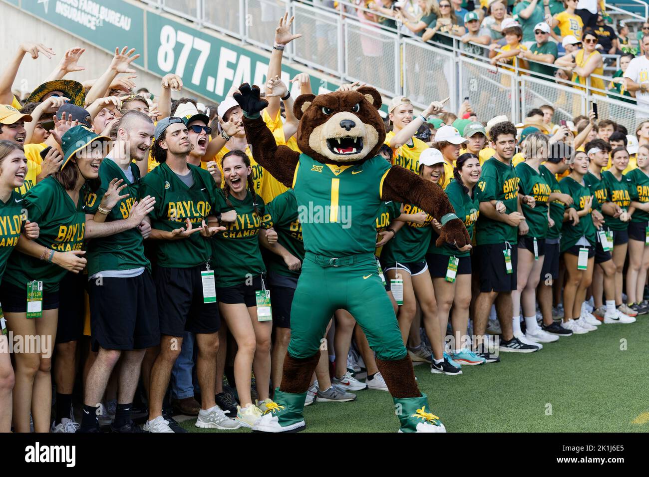 Baylor Bear mascot Bruiser gets in front of the Baylor Line before they ...