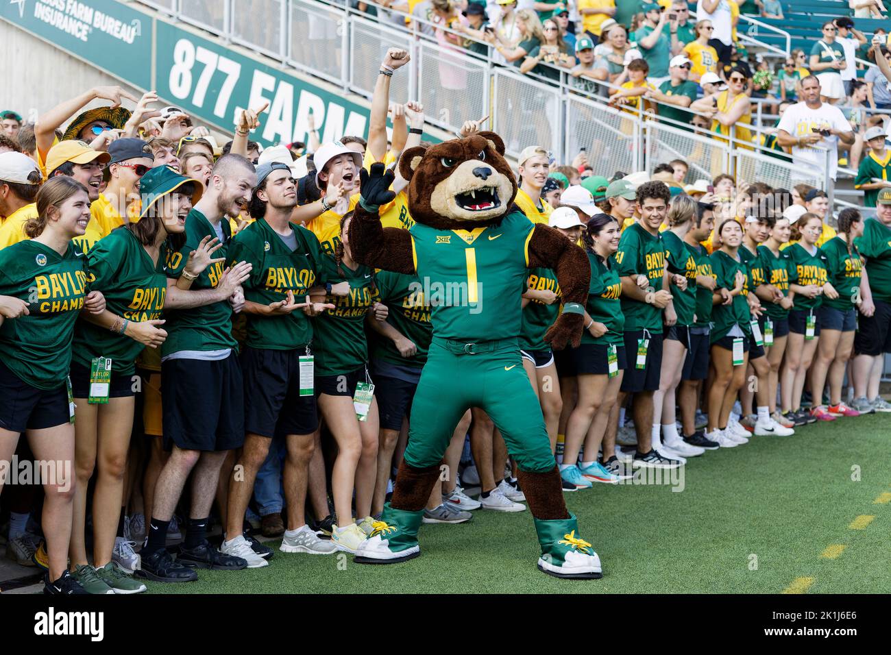 Baylor Bear mascot Bruiser gets in front of the Baylor Line before they ...