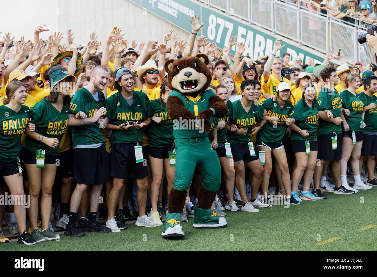 Baylor Bear mascot Bruiser gets in front of the Baylor Line before they ...