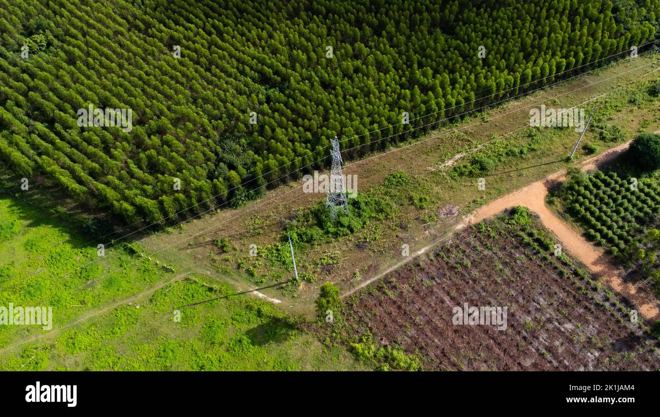 Aerial view of high voltage pylons and power lines near a eucalyptus ...