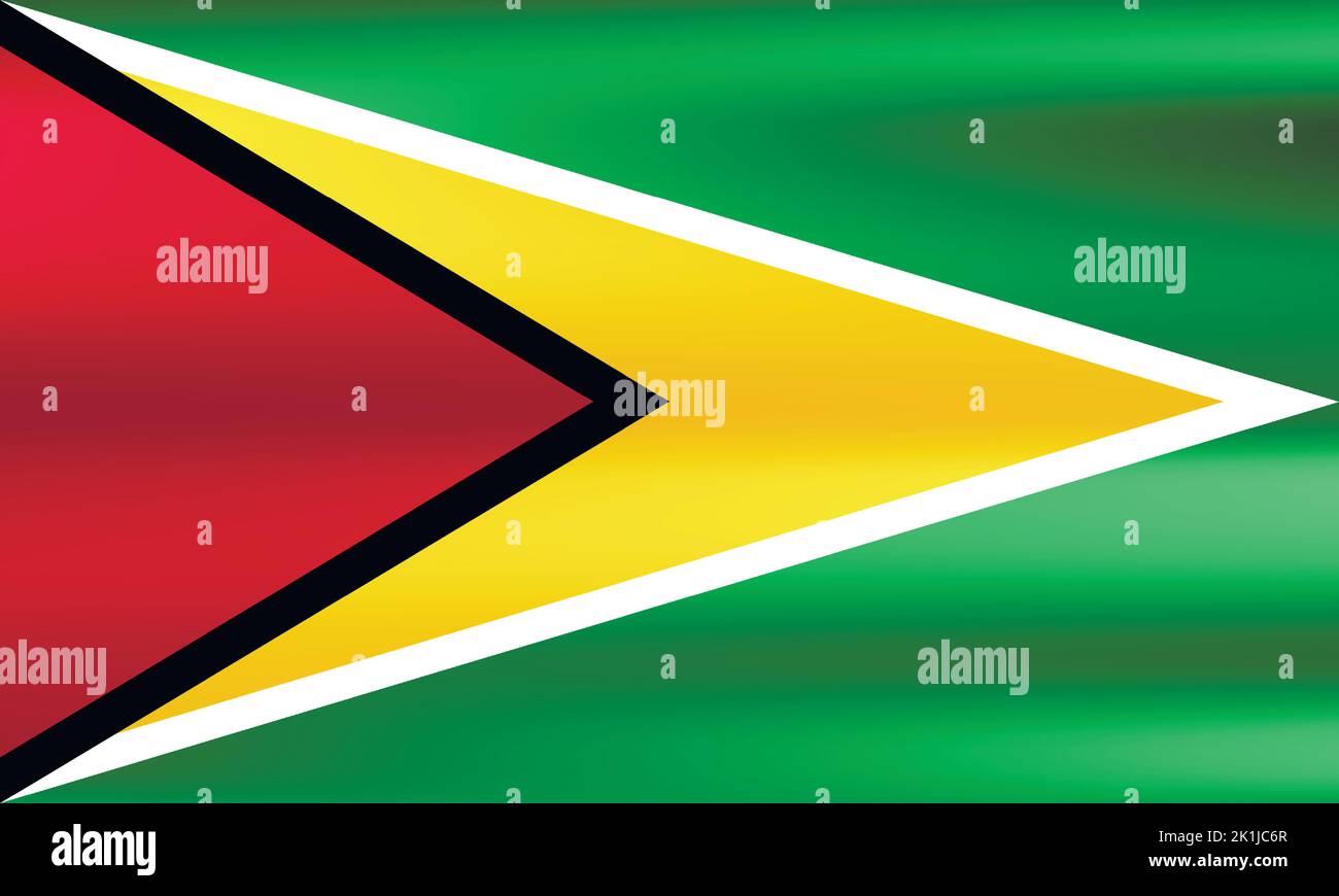 Flag of Guyana. National symbol in official colors. Template icon. Abstract vector background ...