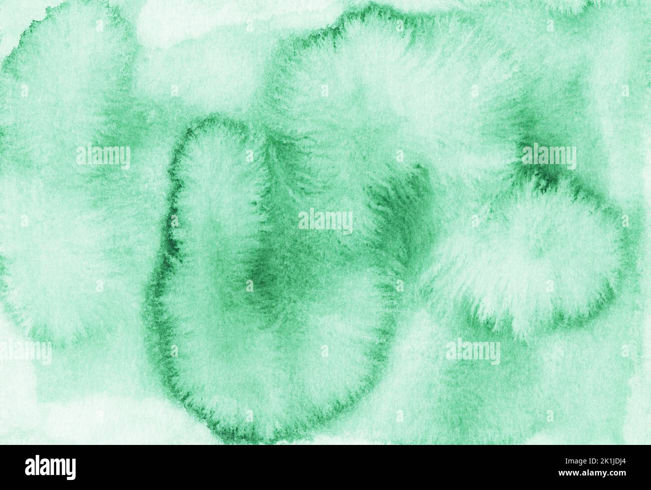 Watercolor green stains on white paper background. Hand painted Stock ...