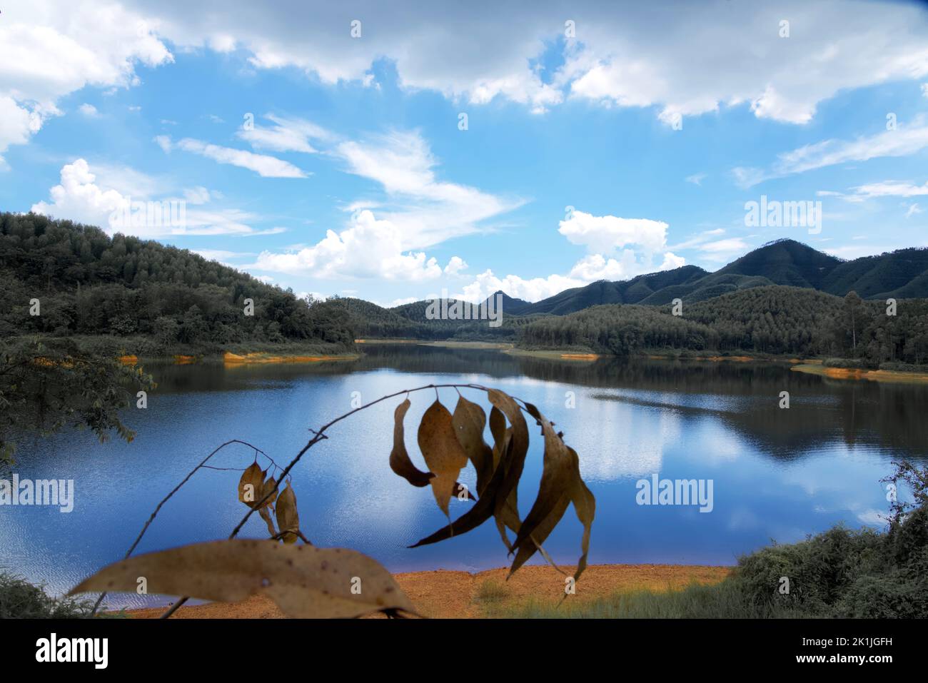 Lakes in forests Stock Photo - Alamy
