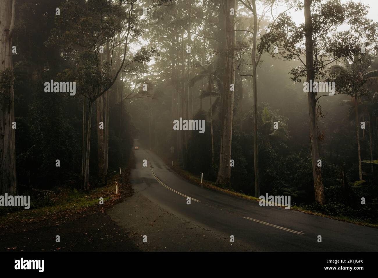 Mount Glorious in the fog, Queensland, Australia Stock Photo - Alamy