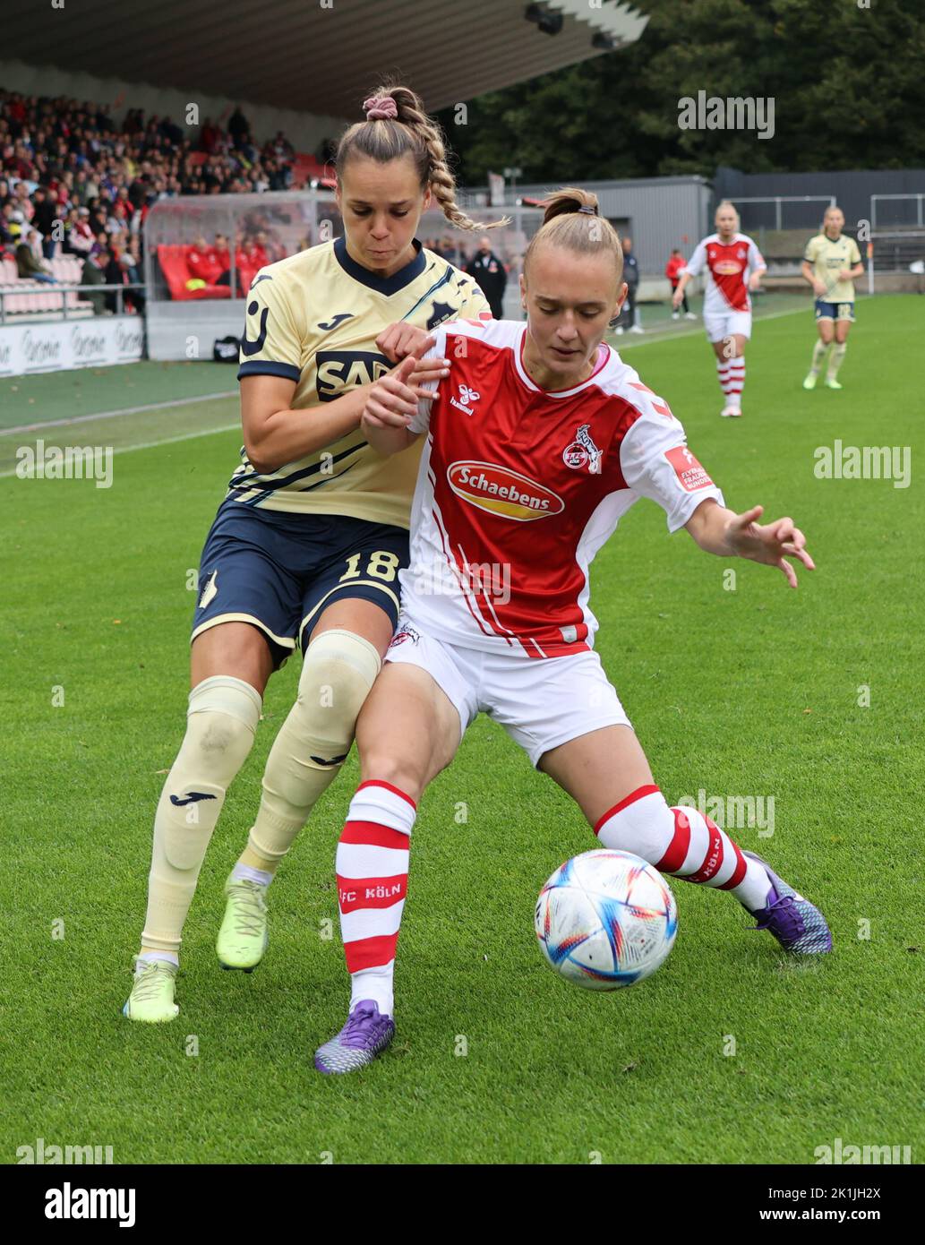 Cologne, Germany. 19th Sep, 2022. Flyeralarm Frauen Bundesliga ...