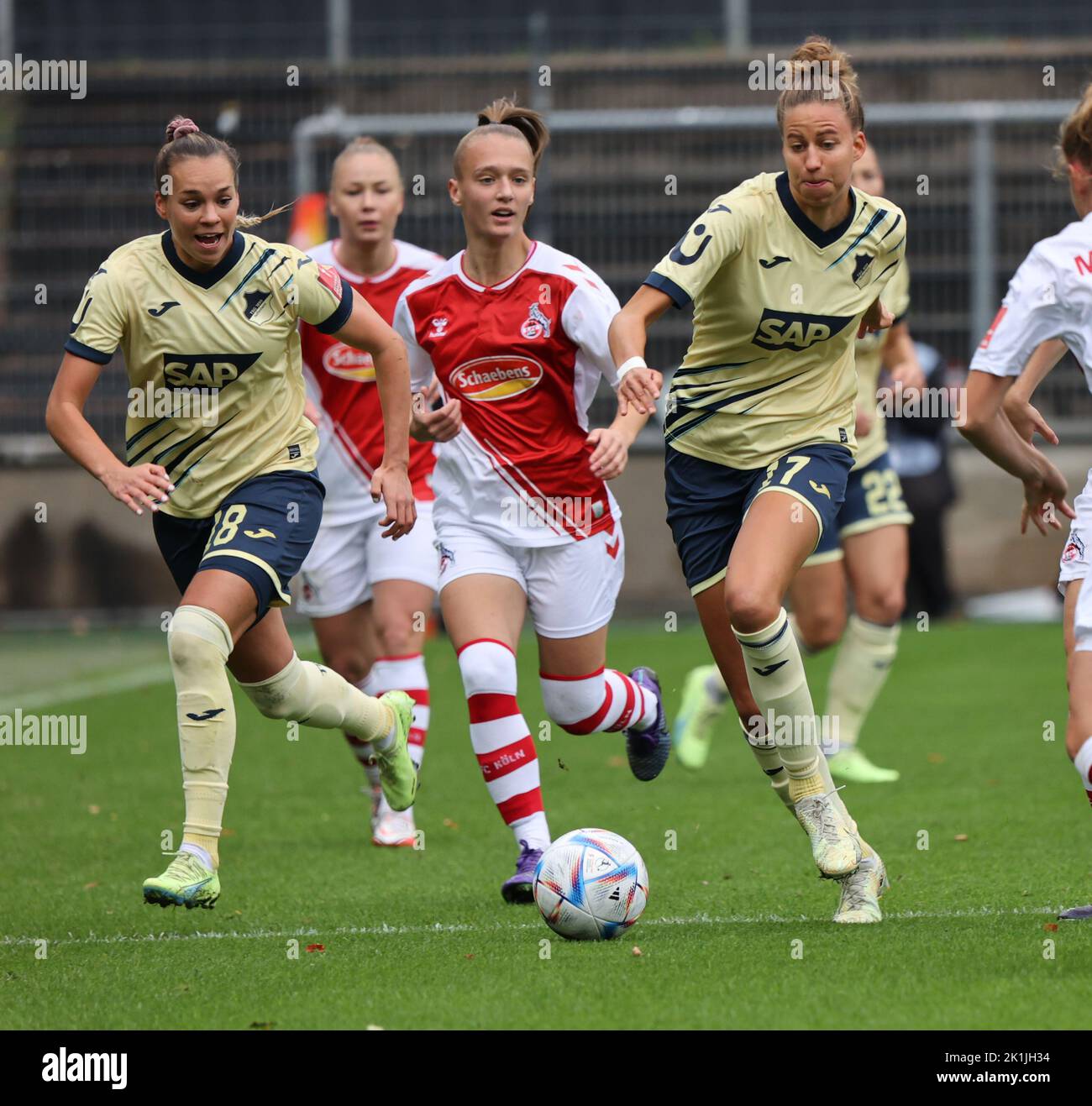 Andrea gavric hi-res stock photography and images - Alamy