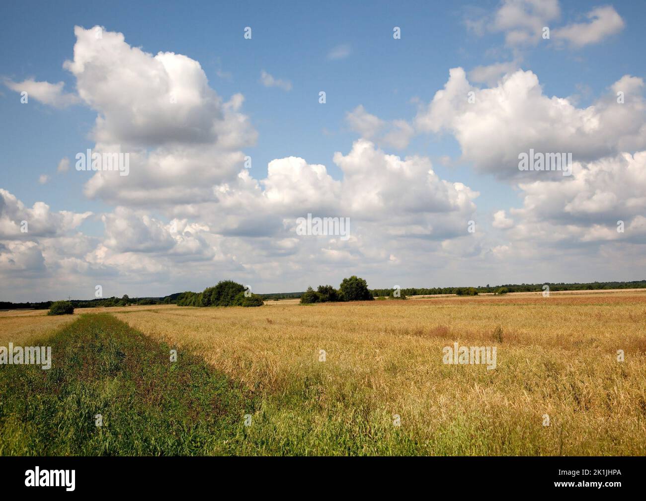 A scenic view of a field and green trees on a sunny day under a cloudy ...