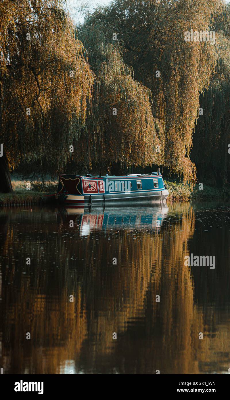 A vertical shot of a ship under the willow tree with a reflection on a ...