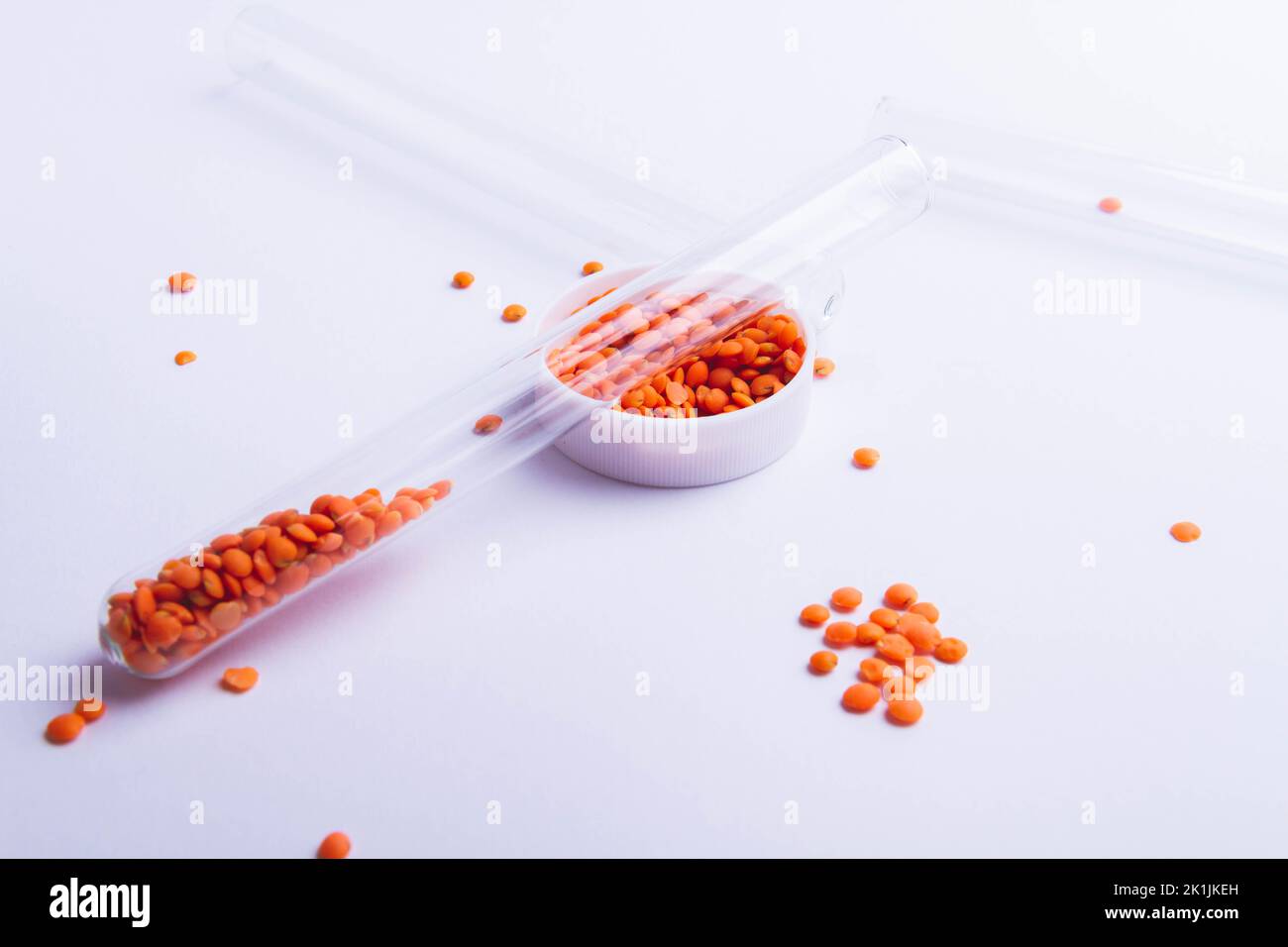 Seed germination test hi-res stock photography and images - Alamy