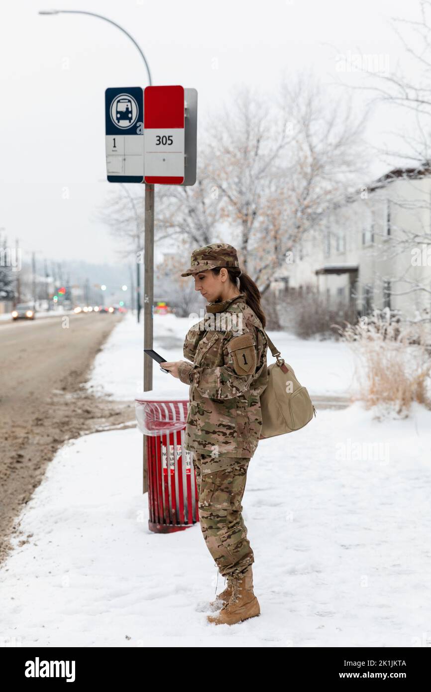 Transportation camouflage hi-res stock photography and images - Alamy