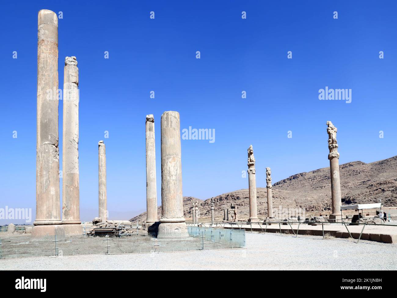 Columns and ruins of Apadana Palace built by Darius the Great ...
