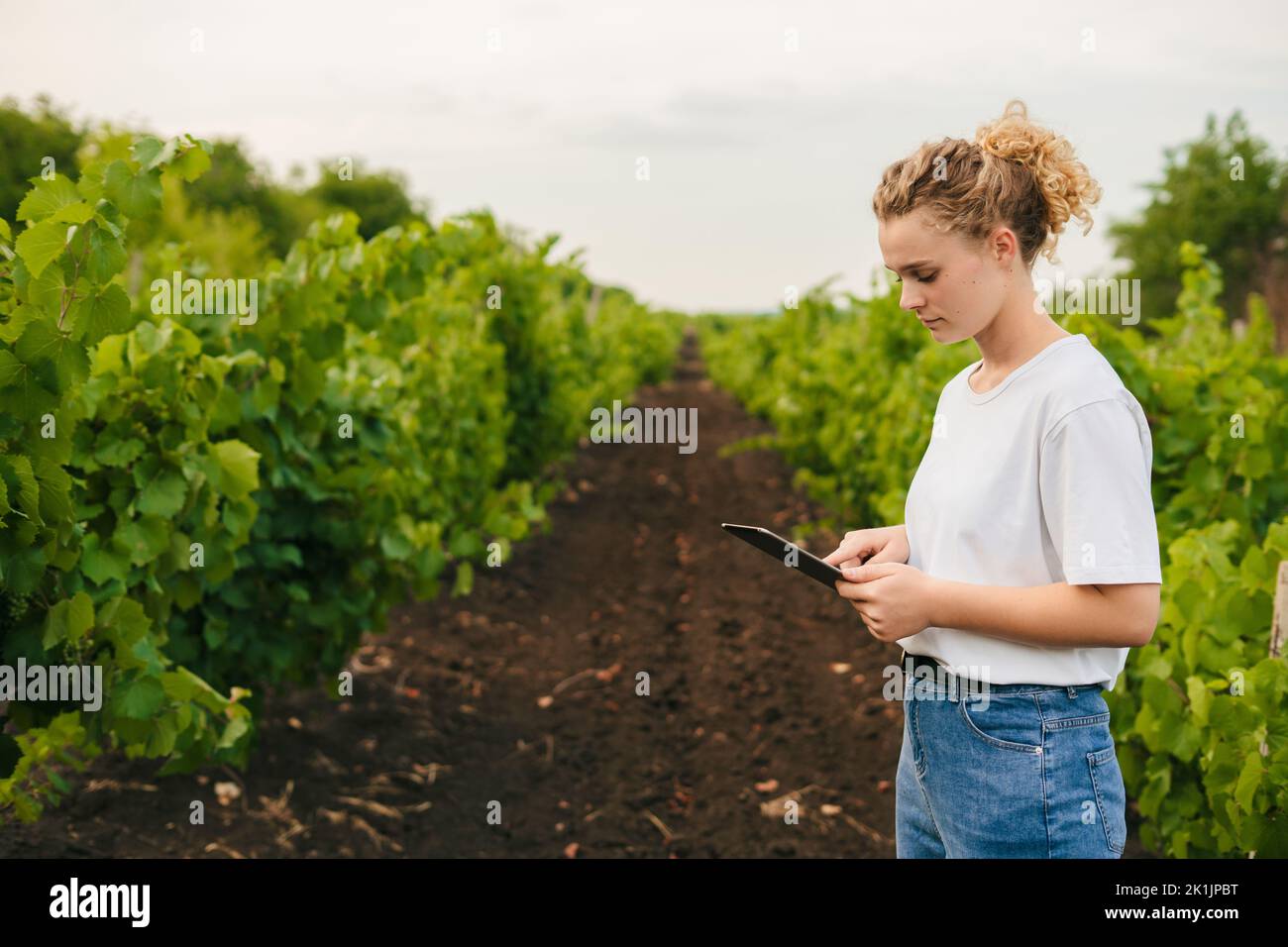 Side view of a female in the vines using tablet to take orders for her ...