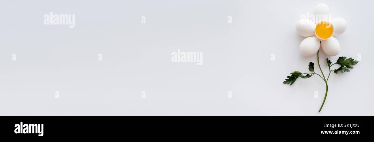 Flat lay of organic eggs and parsley in shape of flower on white ...