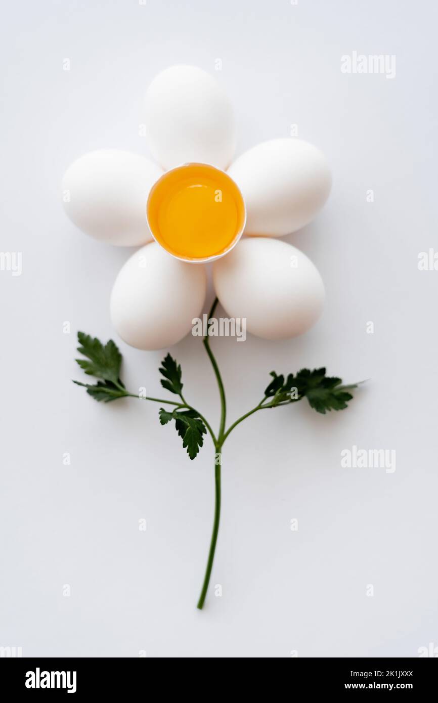 Egg yolk plant hi-res stock photography and images - Alamy