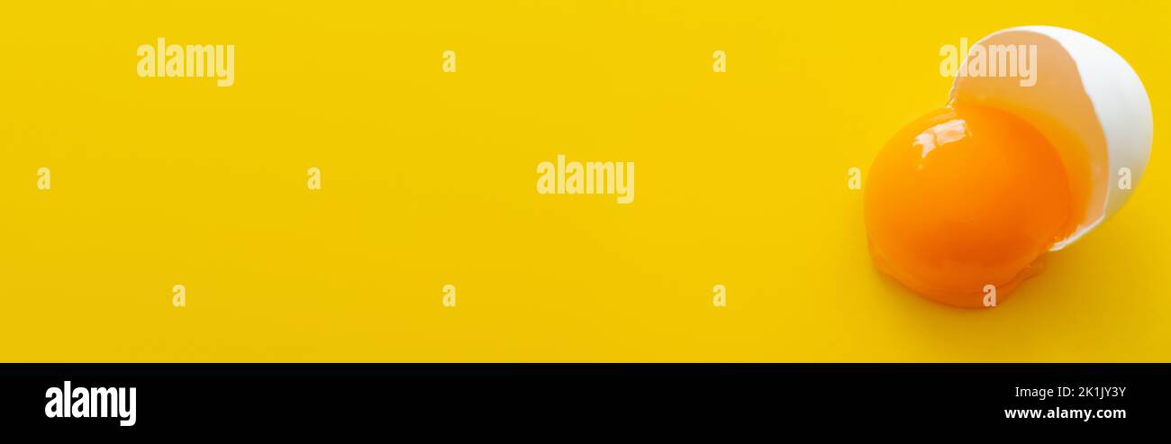Close up view of organic egg yolk in shell on yellow background with ...