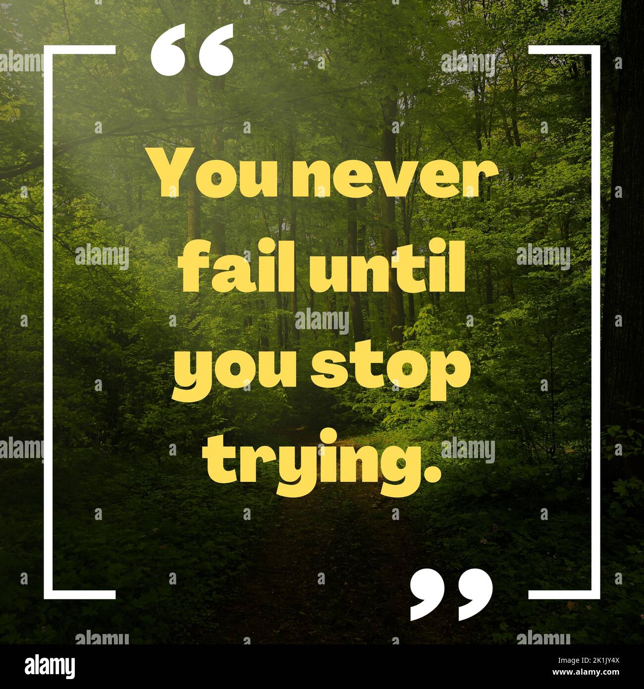 You never fail until stop trying. Motivation quote on natute background ...