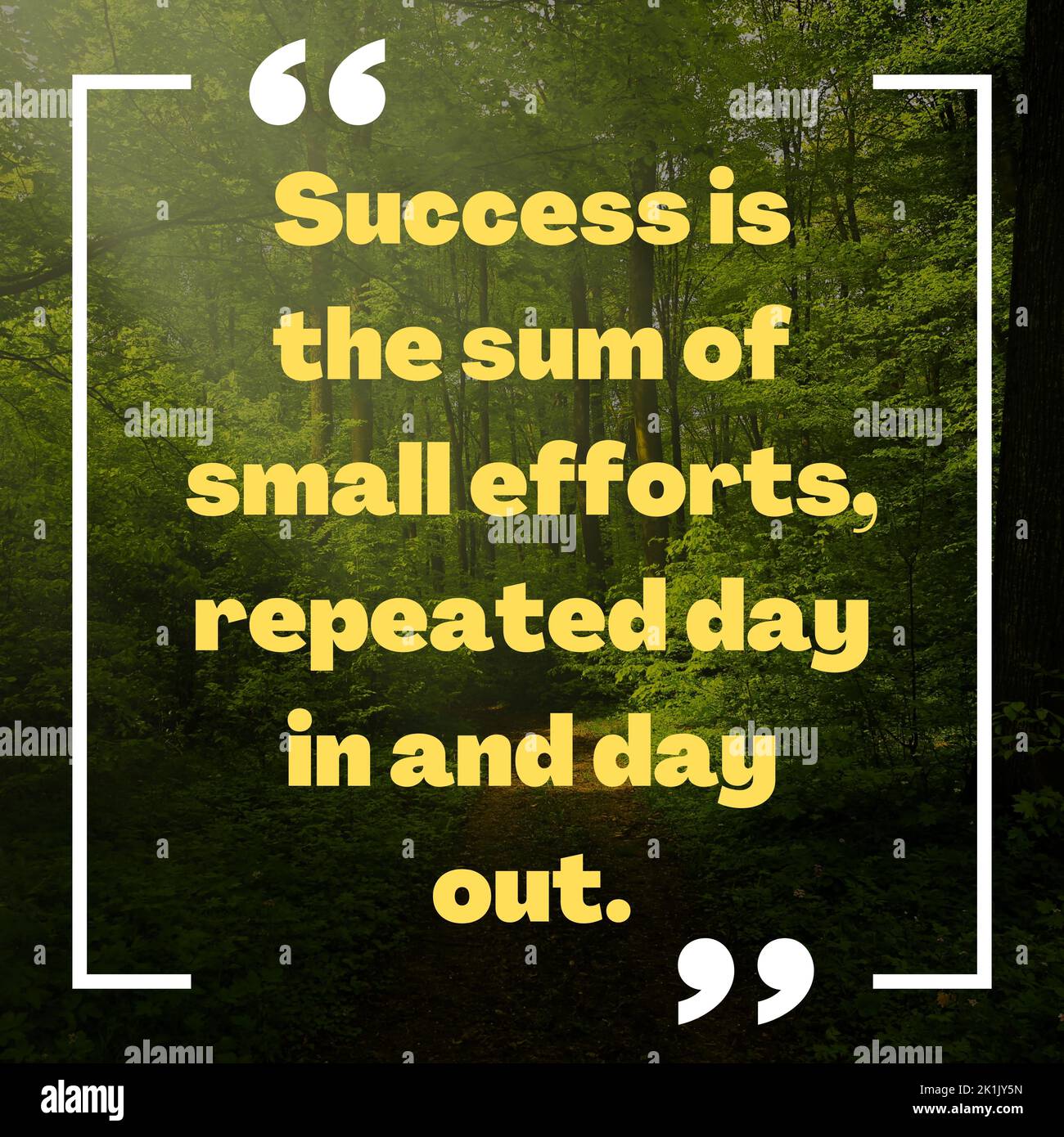 Success is the sum of small efforts repeated day in and day out ...