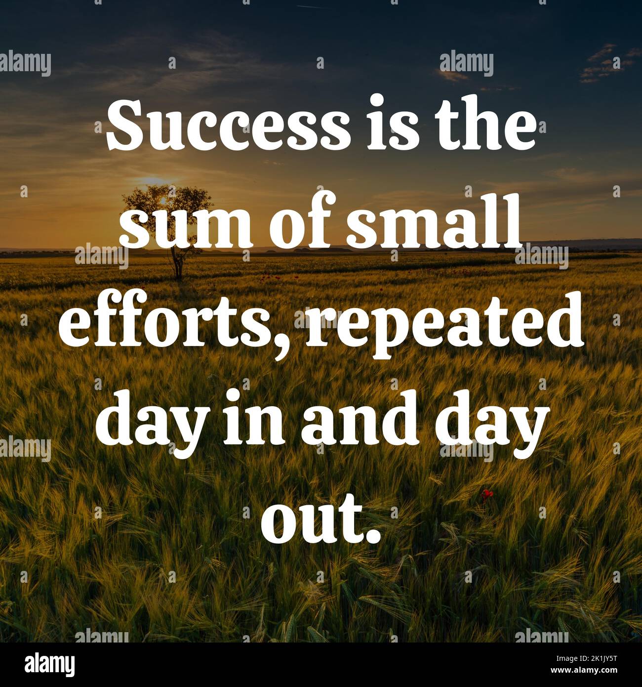 Success is the sum of small efforts repeated day in and day out ...