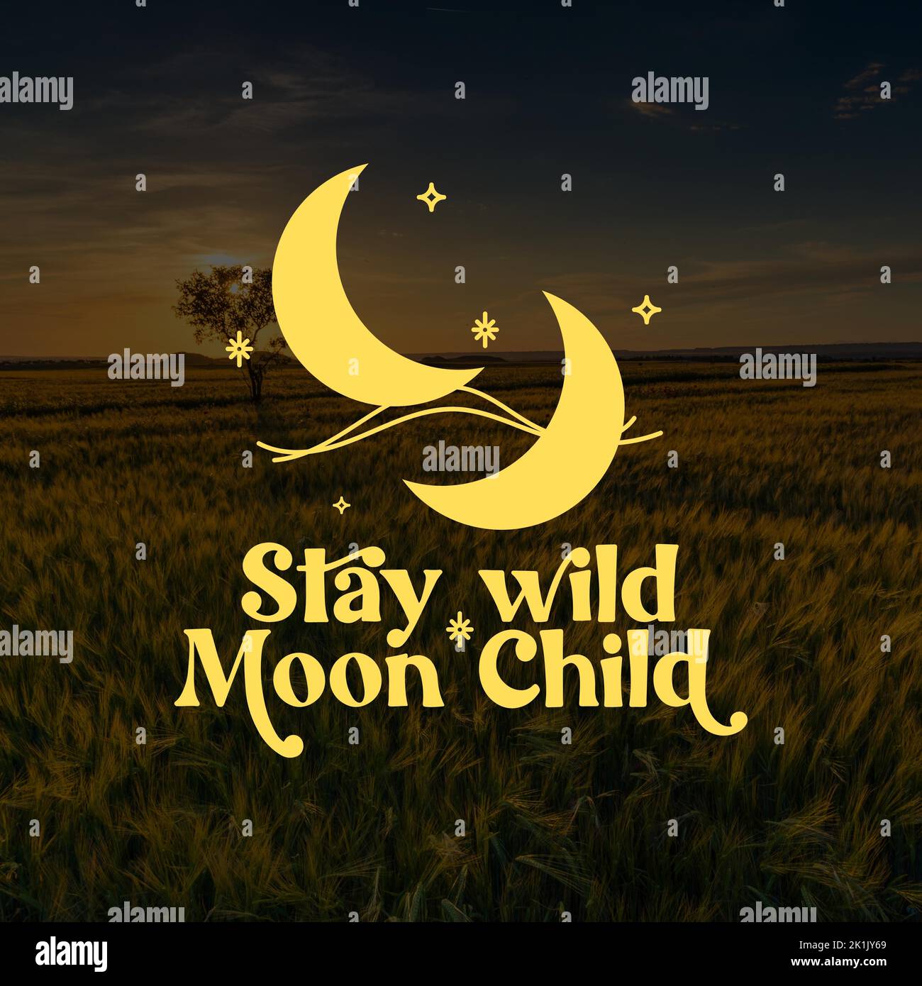 stay wild moon child. motivational quote poster nature background Stock ...
