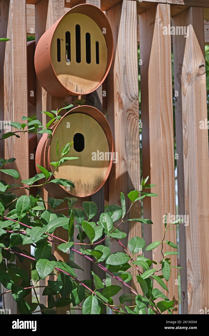 Natural wooden birdhouses in a garden setting Stock Photo - Alamy