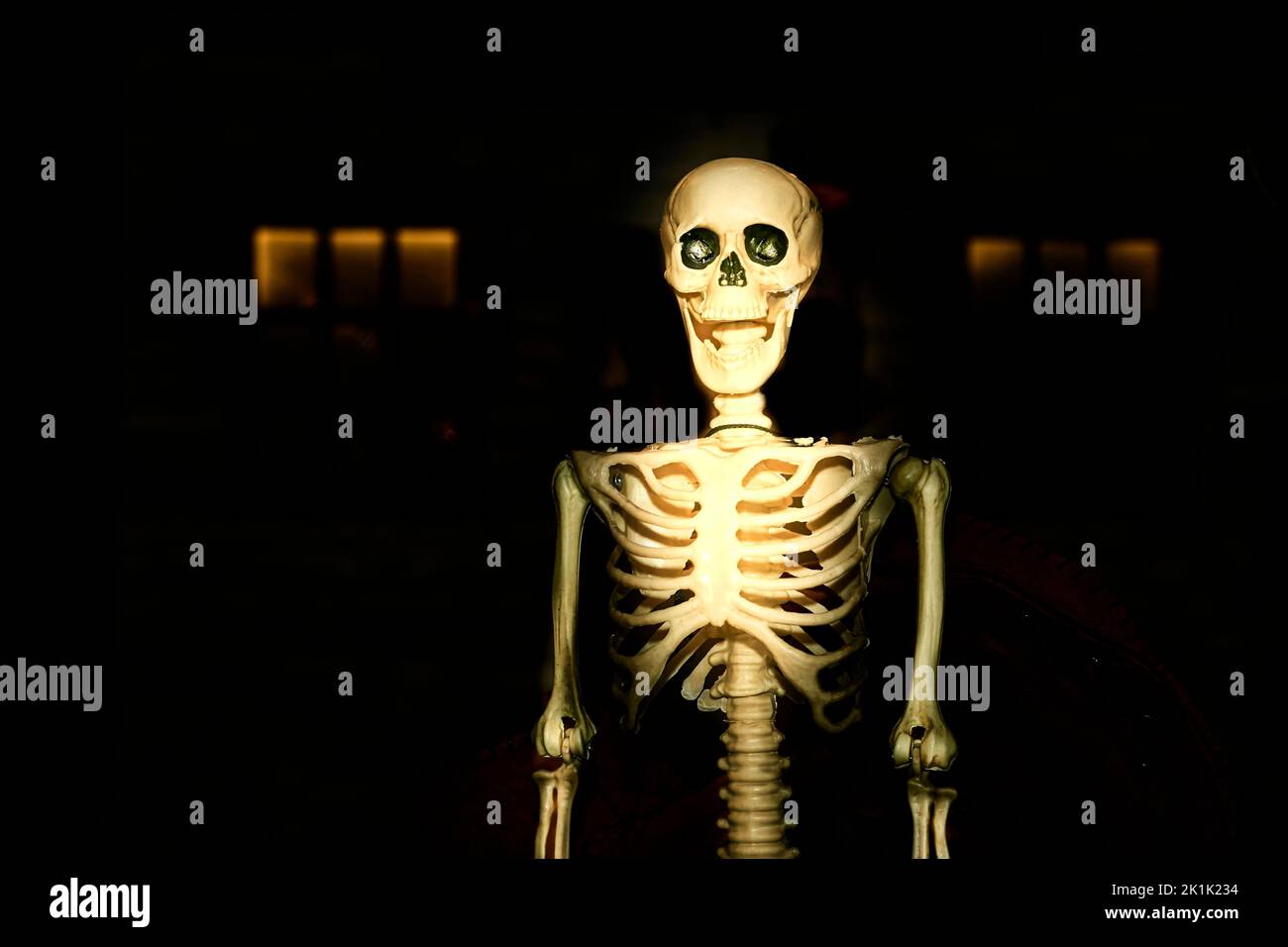 Pale yellow poisonous halloween skeleton in dark black room Stock Photo ...