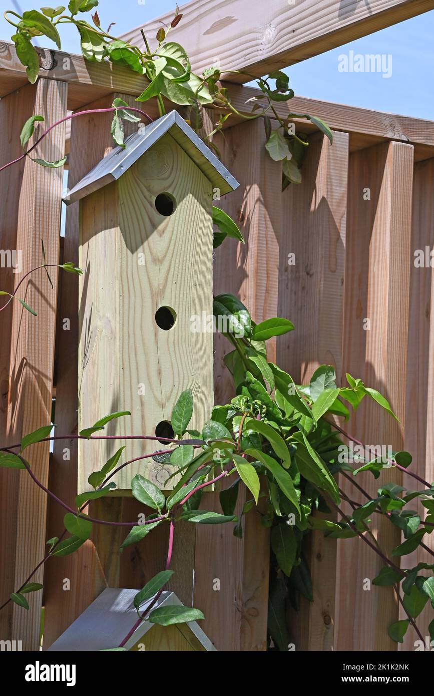 Natural wooden birdhouses in a garden setting Stock Photo - Alamy