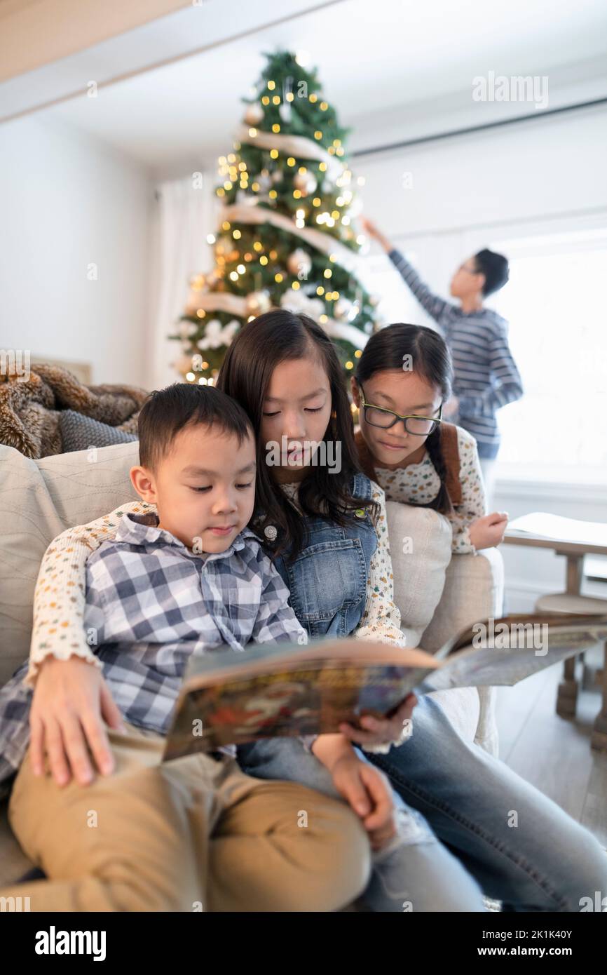 Reading in tree hi-res stock photography and images - Alamy