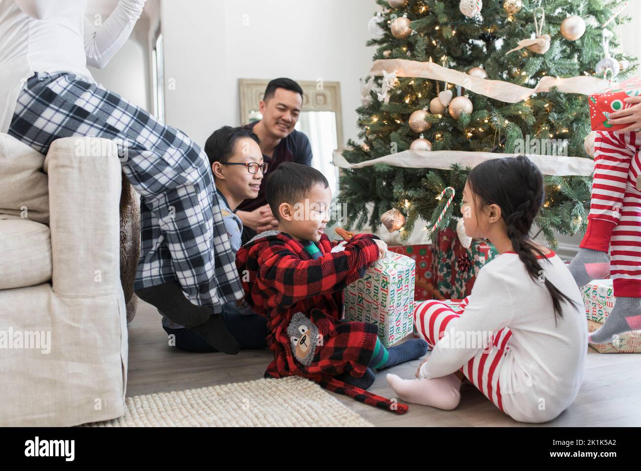 Real christmas tree family hi-res stock photography and images - Alamy