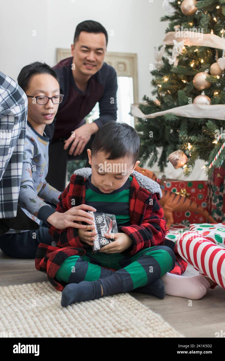 Real christmas tree family hi-res stock photography and images - Alamy