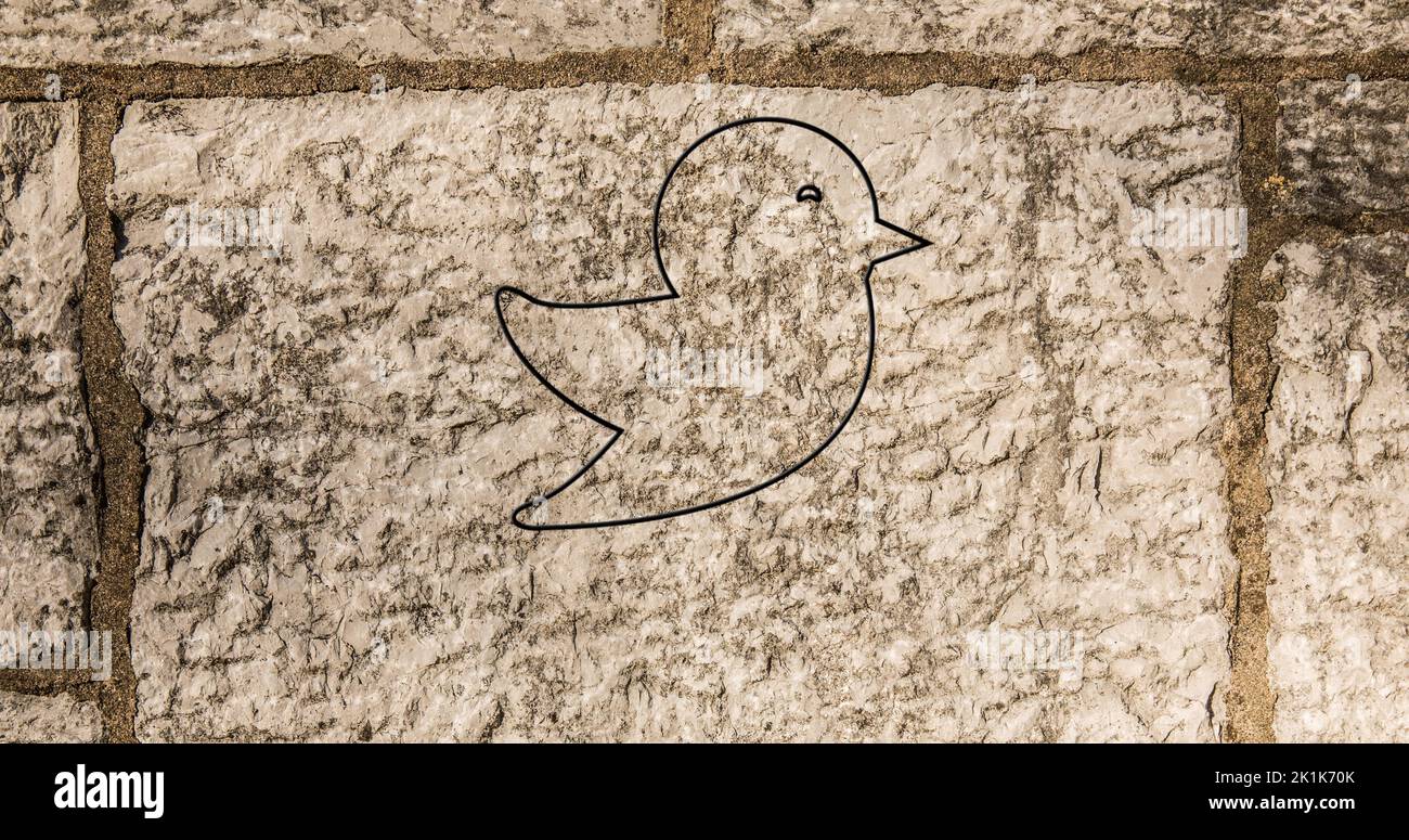 Image of glowing neon bird icon on brick wall. social media and ...
