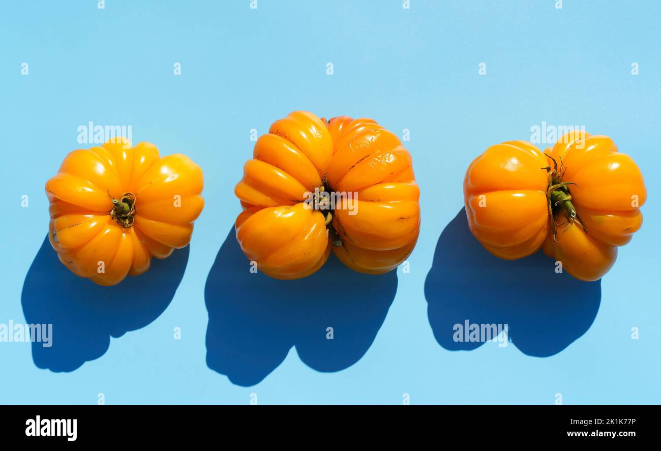 Autumn harvest food background. Organic farm vegetables on minimal blue ...
