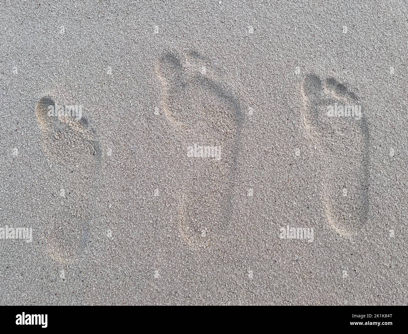 Three human footprints of varying sizes on the sand of a tropical beach ...