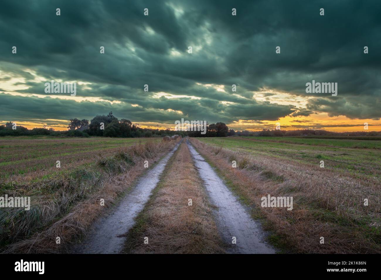 Dirt road through the fields and cloudy sky, September view in eastern ...
