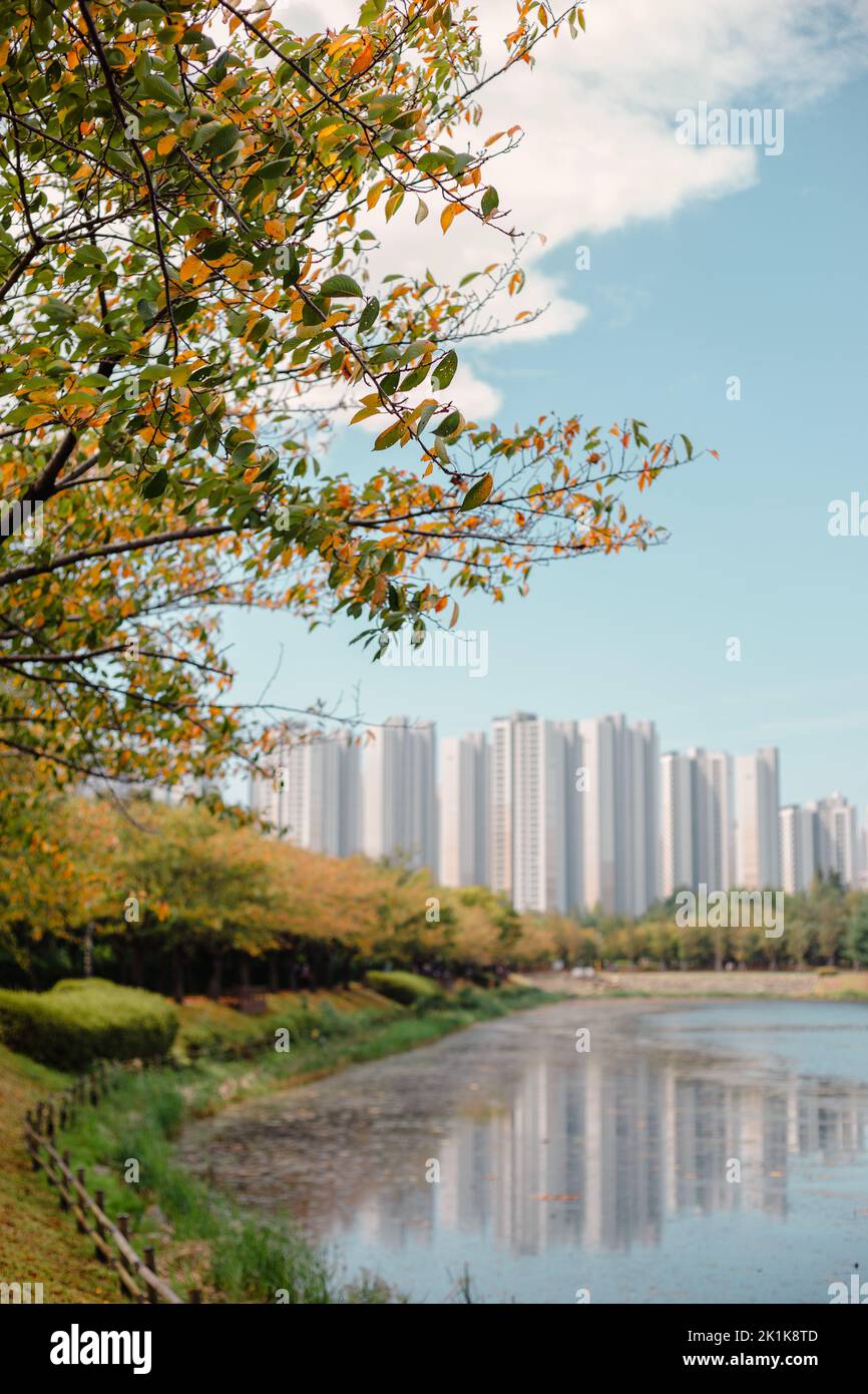 Autumn scenery of lake and apartment buildings at Hwarang Recreation ...