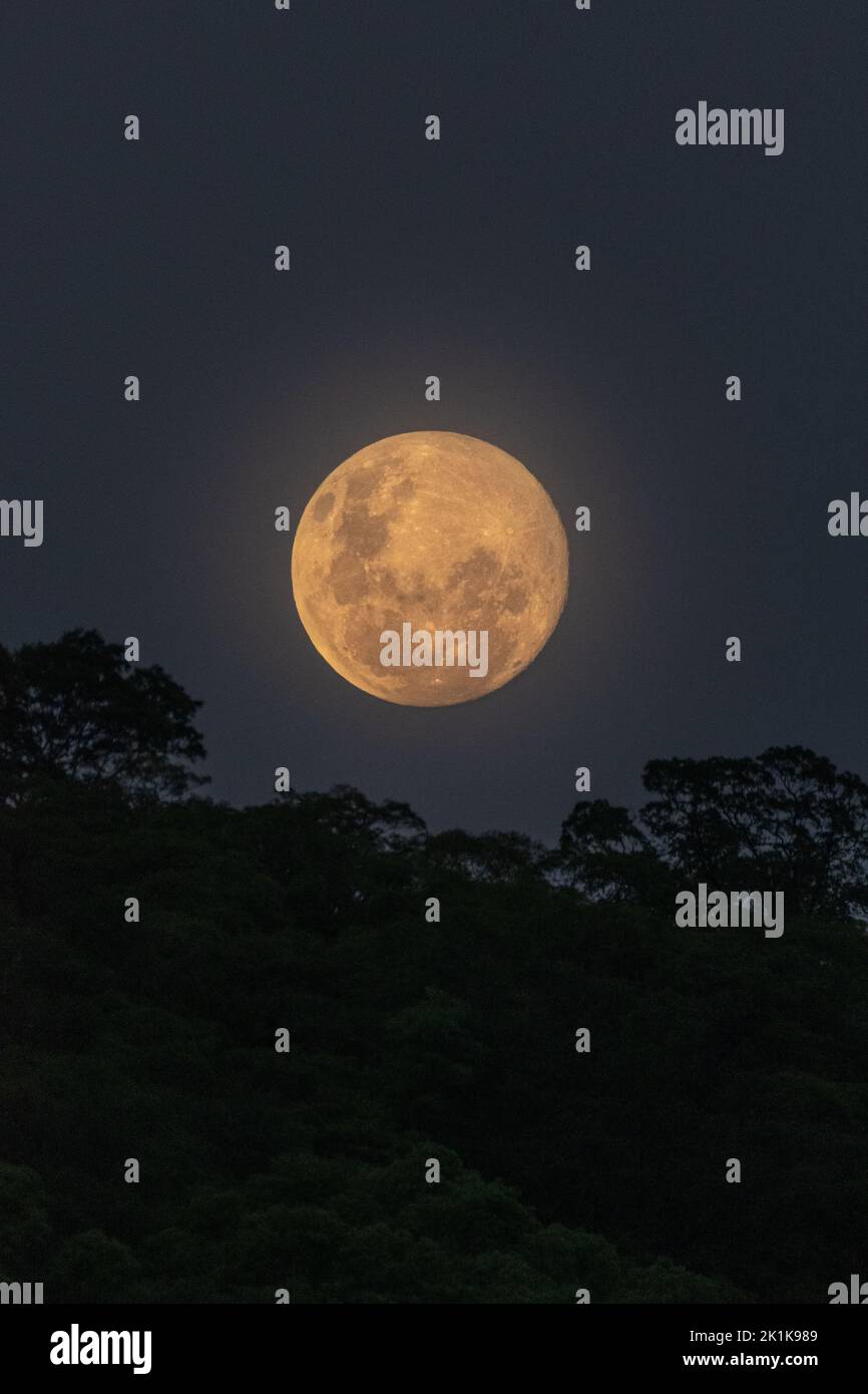 A dramatic scenery of the Moon shining in the darkness of the night sky ...