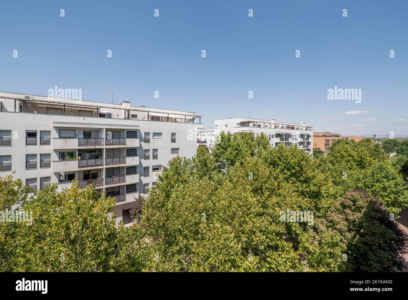 Urbanization facades of residential buildings with gardens, many leafy ...