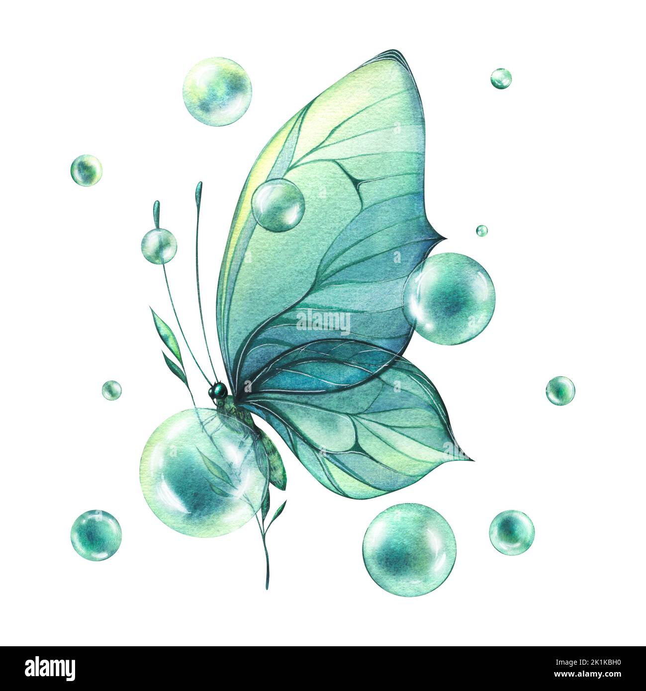 Turquoise, blue butterfly, with bubbles. gentle, side view, sitting on ...