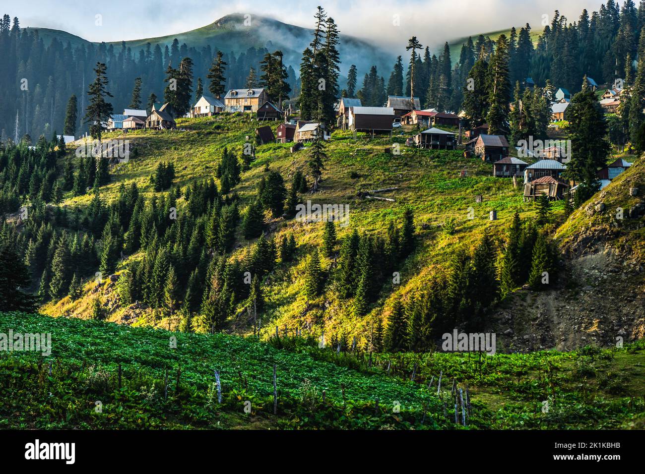 Traditional village houses in the Caucasus mountains, Bakhmaro ...