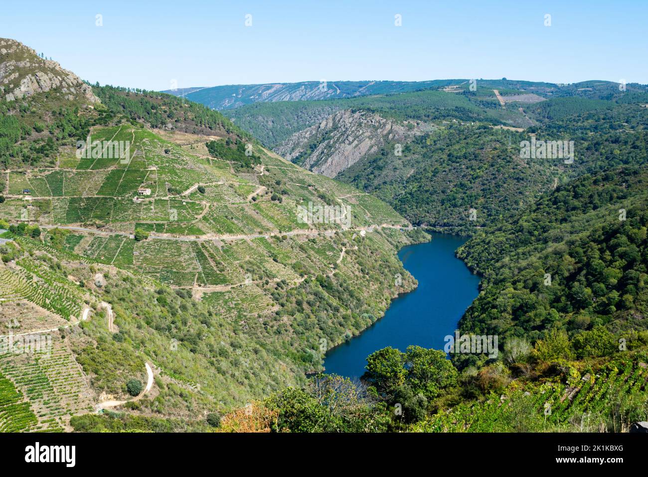 Aerial view of vineyards and Sil river, Ribeira Sacra, Ourense, Galicia ...