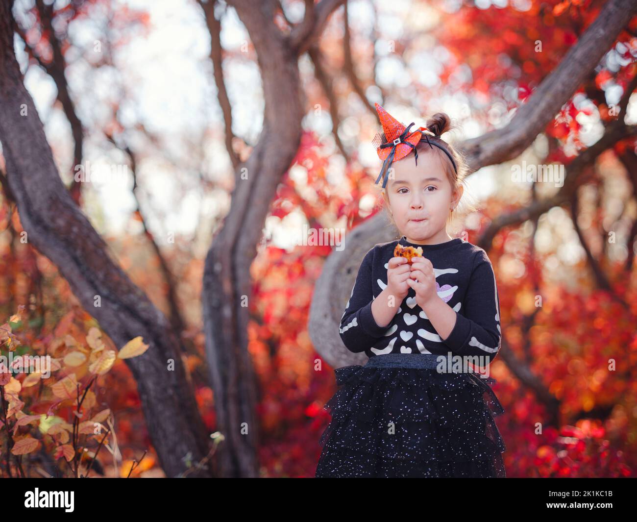 Young girl in black costume goes trick or treating. Little witch, Kids ...