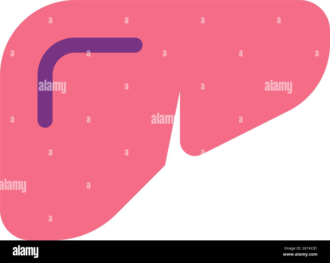 Liver flat color ui icon Stock Vector Image & Art - Alamy