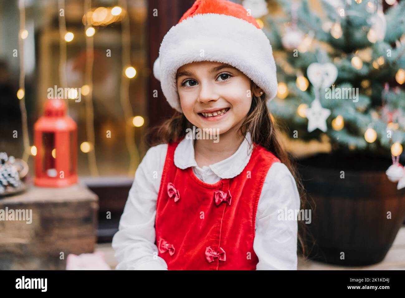 Potted christmas tree lights hi-res stock photography and images - Alamy