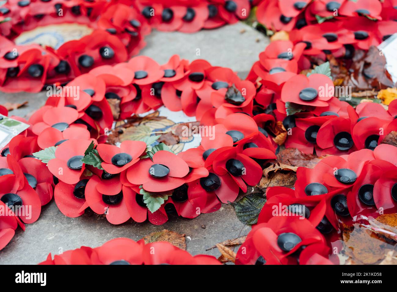 Poppy symbol anniversary world hi-res stock photography and images - Alamy