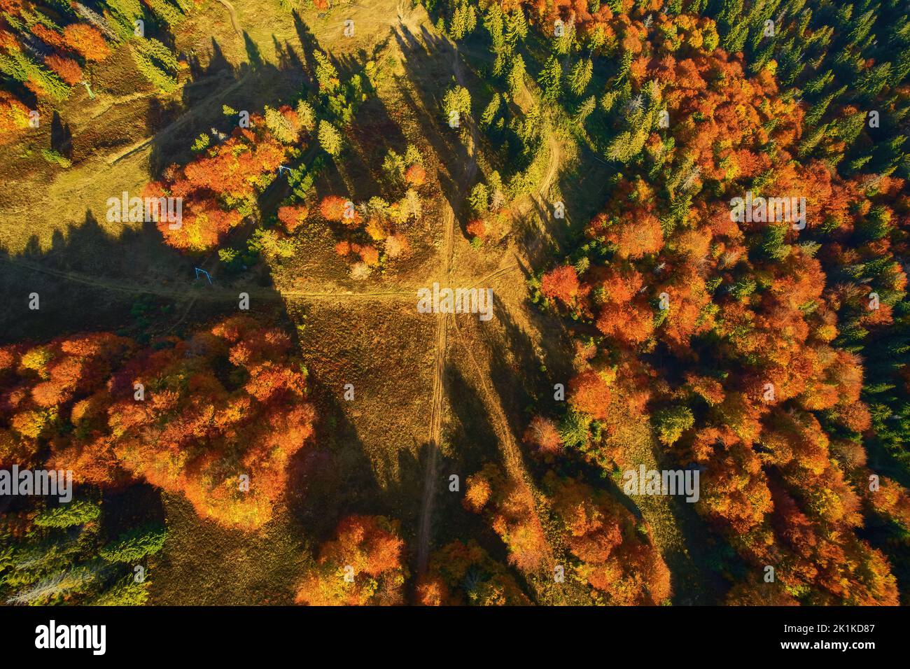 Aerial view of forest in foliage season. Natural green, orange and yellow background. Photo from ...