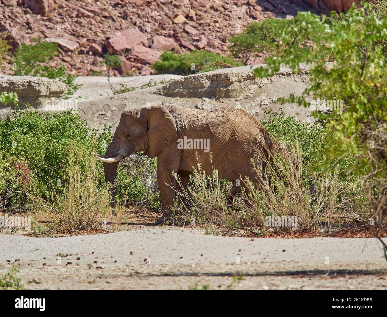 Ephemeral dry river hi-res stock photography and images - Alamy