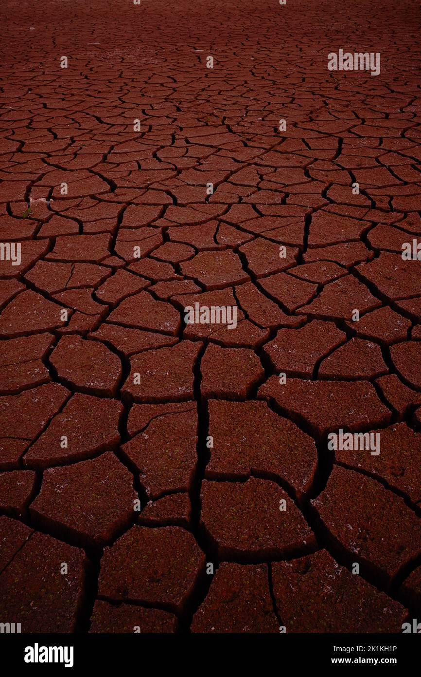 Vertical shot drought land hi-res stock photography and images - Alamy