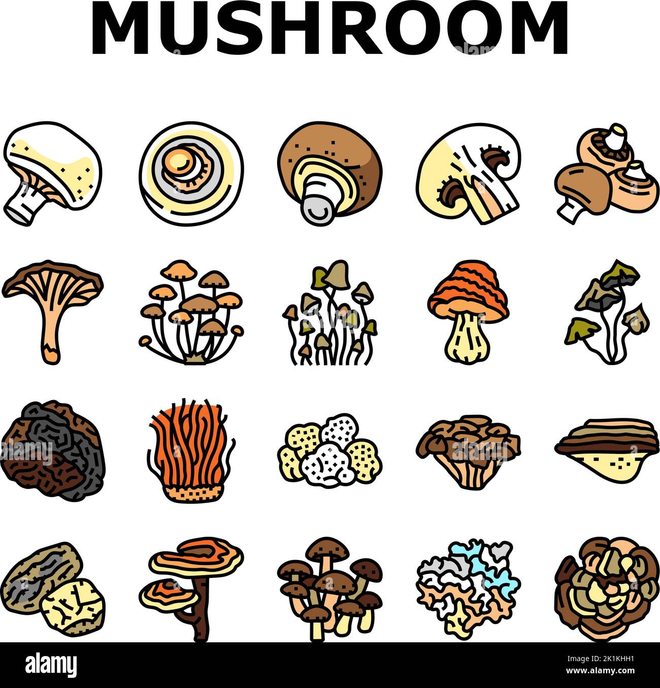 mushroom food forest fungi icons set vector Stock Vector Image & Art ...