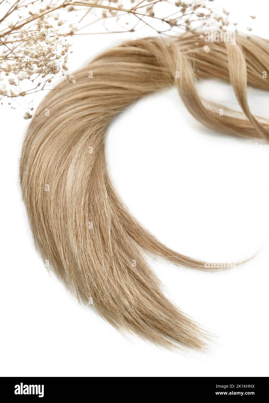 Hair strand hi-res stock photography and images - Alamy